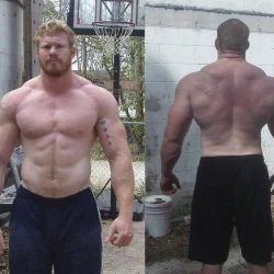 10 Best Mass Gainers on the Market for 2026