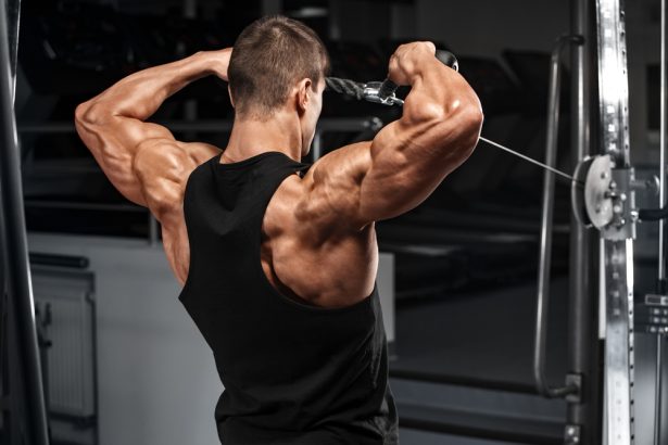 13 Best Rear Deltoid Exercises for Muscle Mass and Symmetry