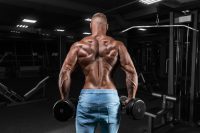 9 Best Exercises to Build Huge Traps: Workouts For Traps