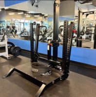 5 Best Belt Squat Machines on the Market for 2025