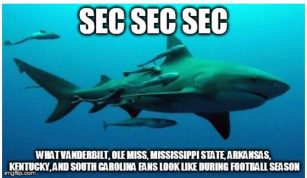 The 15 Worst Fan Bases in Sports: Most Hated and Annoying